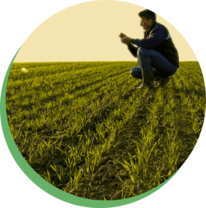 Agritech-services| Agrotech India